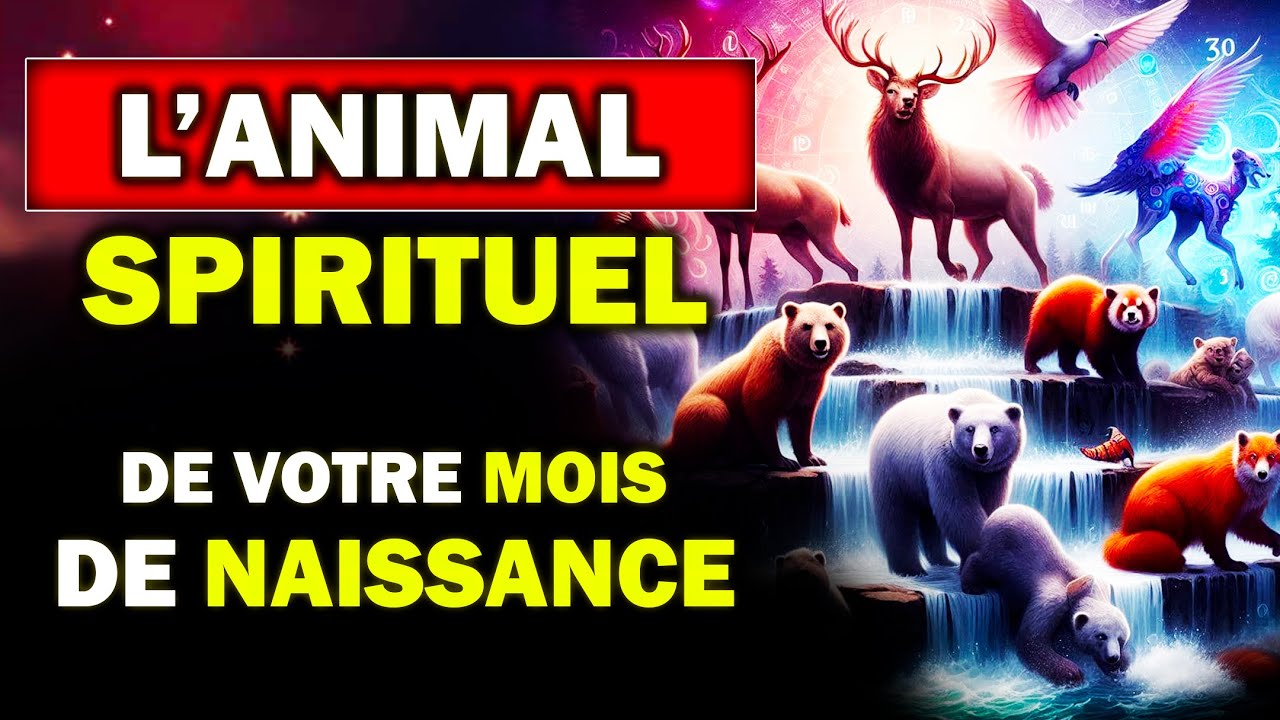 Ce que votre MOIS DE NAISSANCE dit sur votre ANIMAL SPIRITUEL ! - YouTube