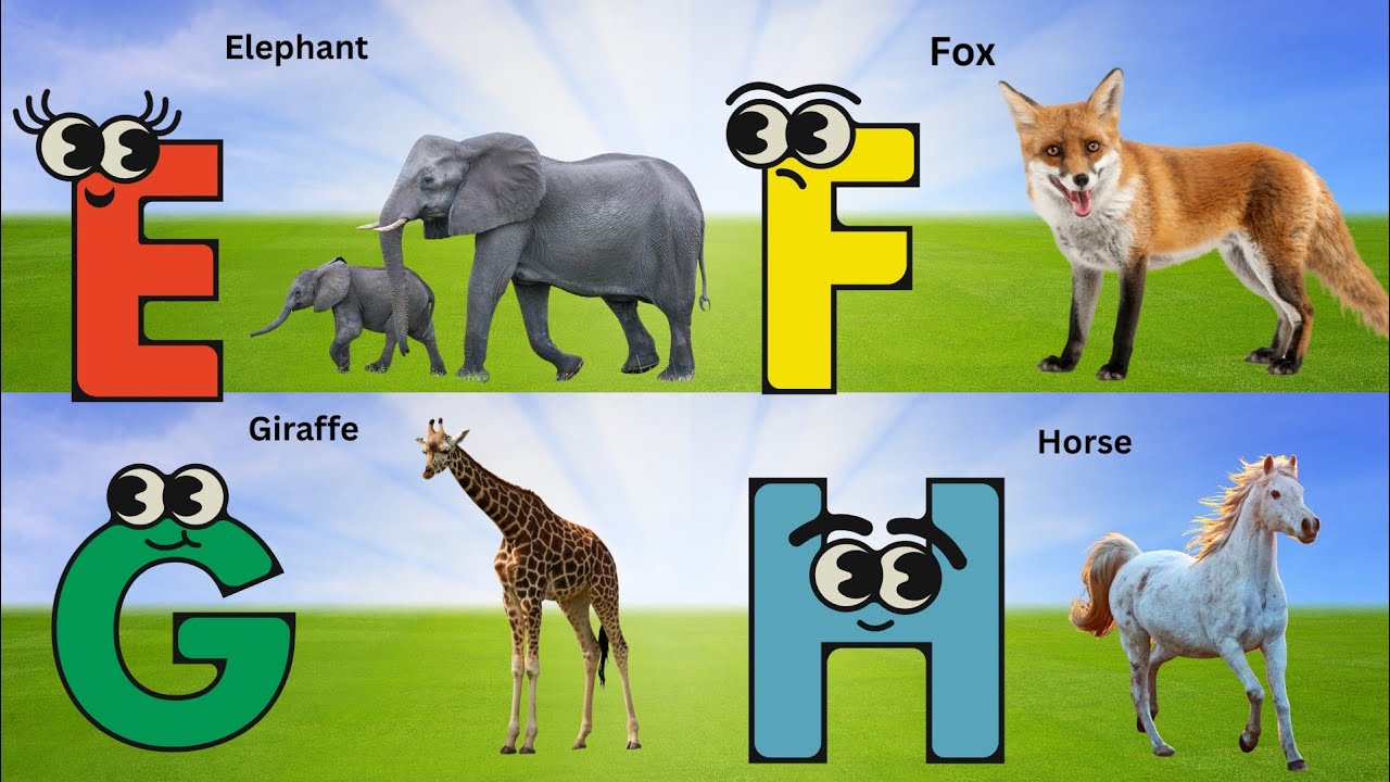 Alphabet Animals Song | Learn the ABC Alphabet Animals Song for Kids ...