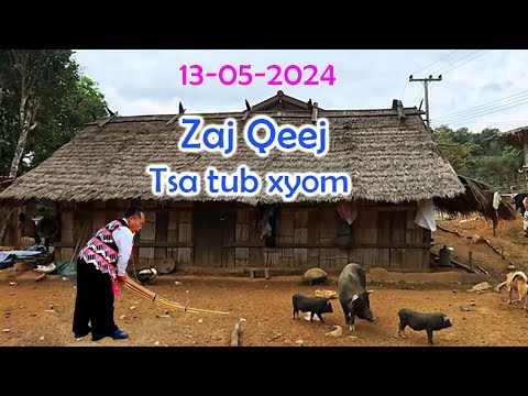 Qeej tsa tub xyom EP.1 - YouTube