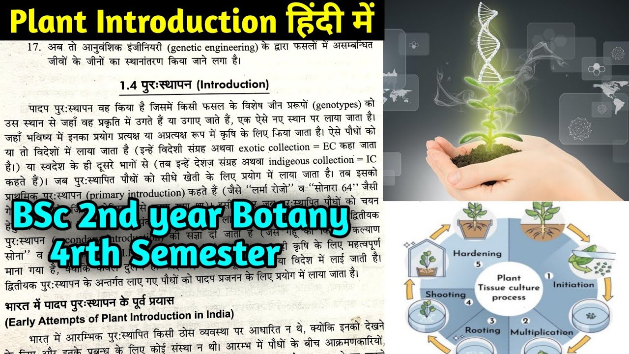 Plant Introduction in Hindi || Procedure of Plant introduction || BSc ...
