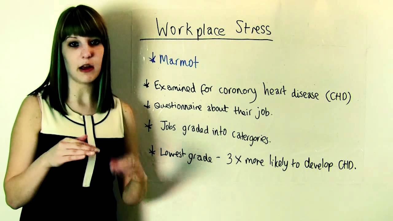 AS Psychology Revision: An Overview of Stress - YouTube