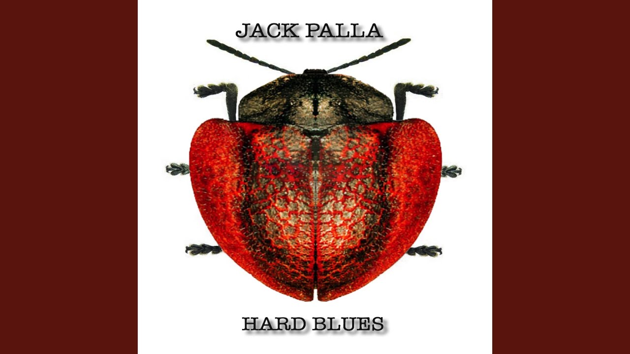 Body for Rent - YouTube