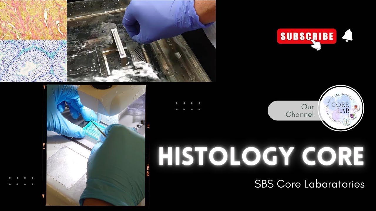 Introduction of SBS Histology Core, CUHK - YouTube