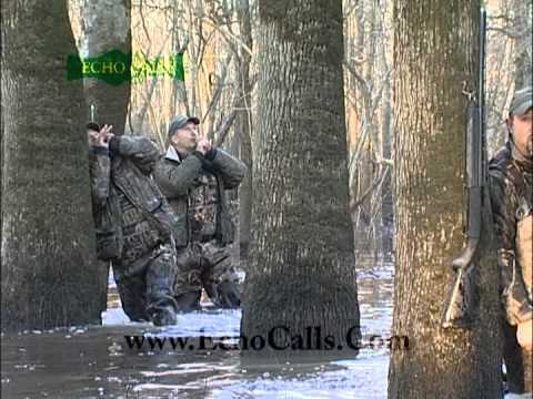 Short N Sweet Old School Echo Green Timber Duck Hunting - YouTube