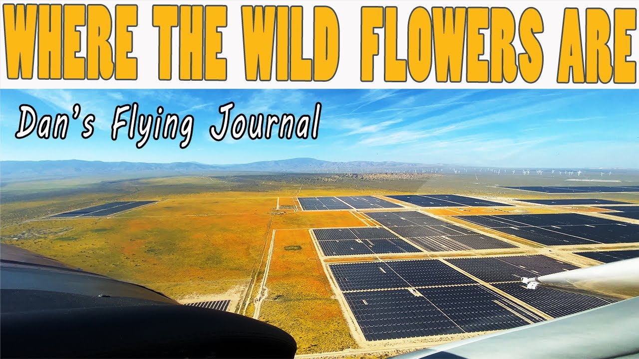 Dan's Flying Journal - Where the Wild Flowers Are - 2023 (v2) - YouTube