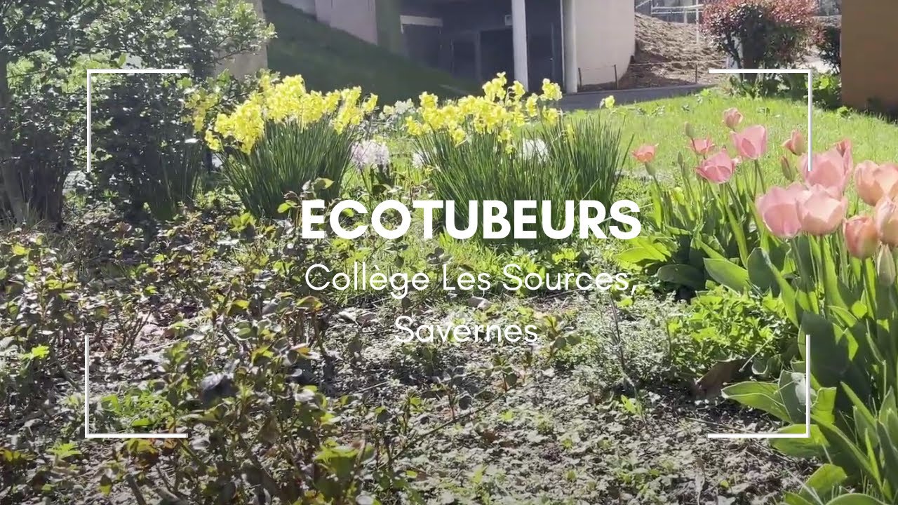 Ecotubeurs (6e) Collège Les Sources, Savernes - AC Strasbourg - Saison ...