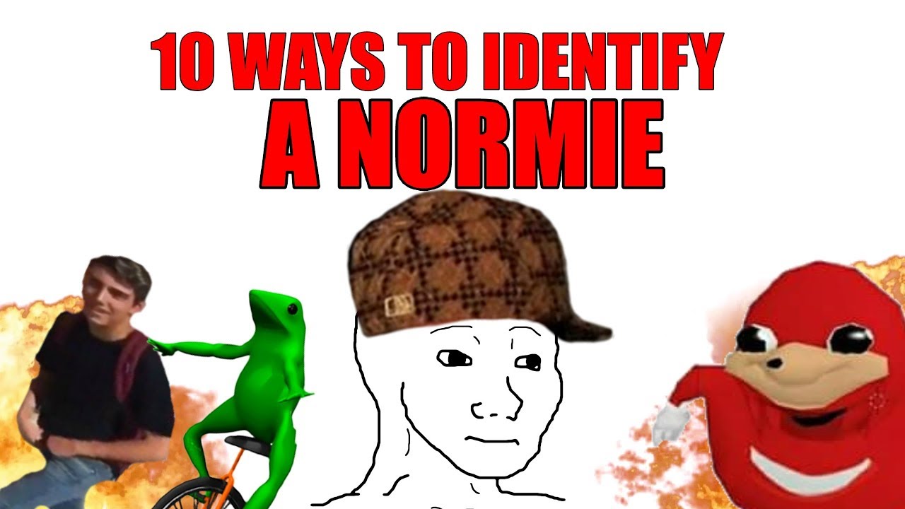 TEN WAYS TO IDENTIFY A NORMIE - YouTube