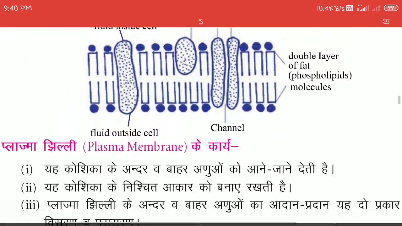 Class 9 Ncert Biology Chapter 1 Part 21 YouTube class-9-ncert-biology-chapter-1-part-21-youtube
