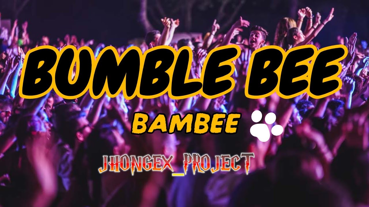BAMBEE - BUMBLE BEE - JHONGEX_PROJECT ( BREAKLATIN REMIX ) - YouTube