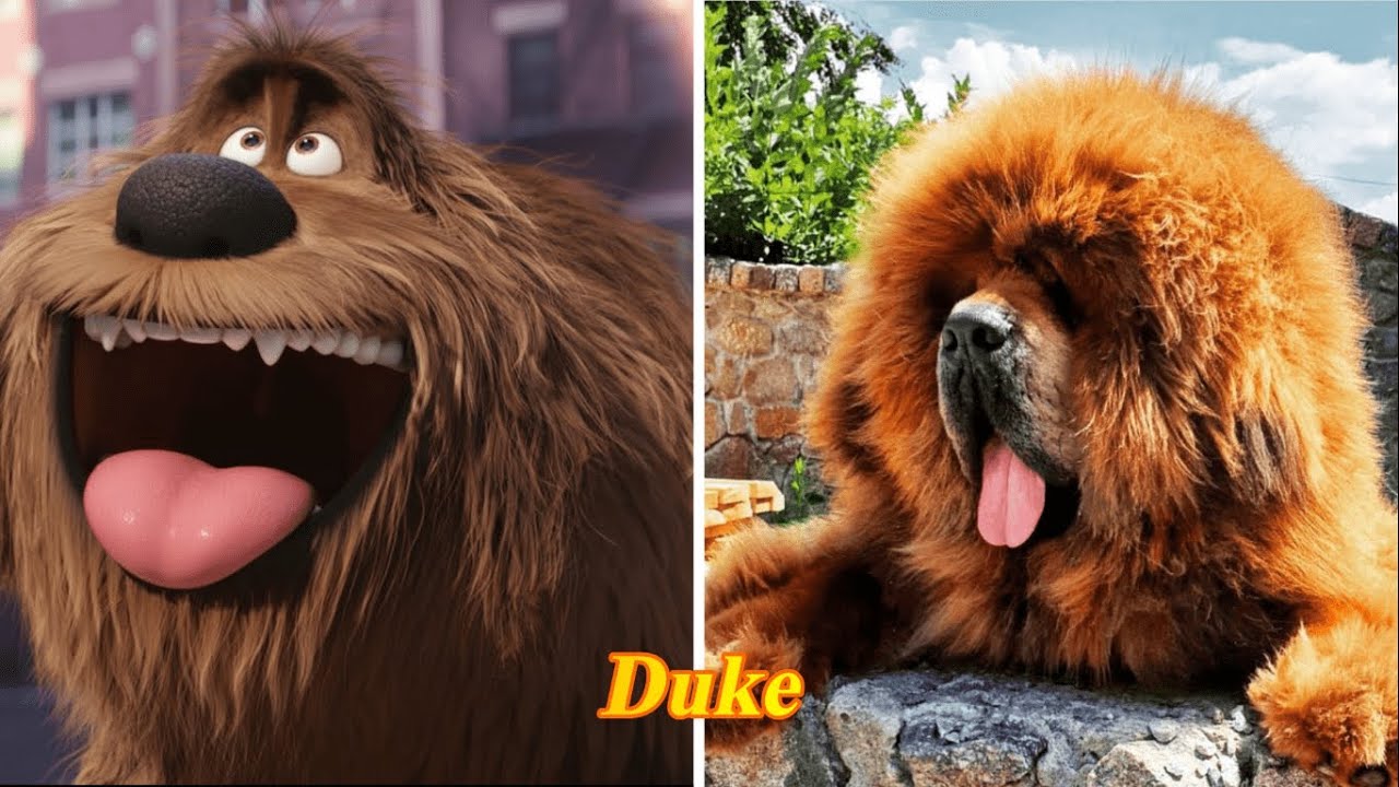 The Secret Life of Pets Characters in Real Life - YouTube