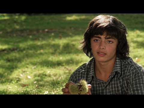 Drama Klasik Italia: Last Feelings (1978) | Full Movie Gratis