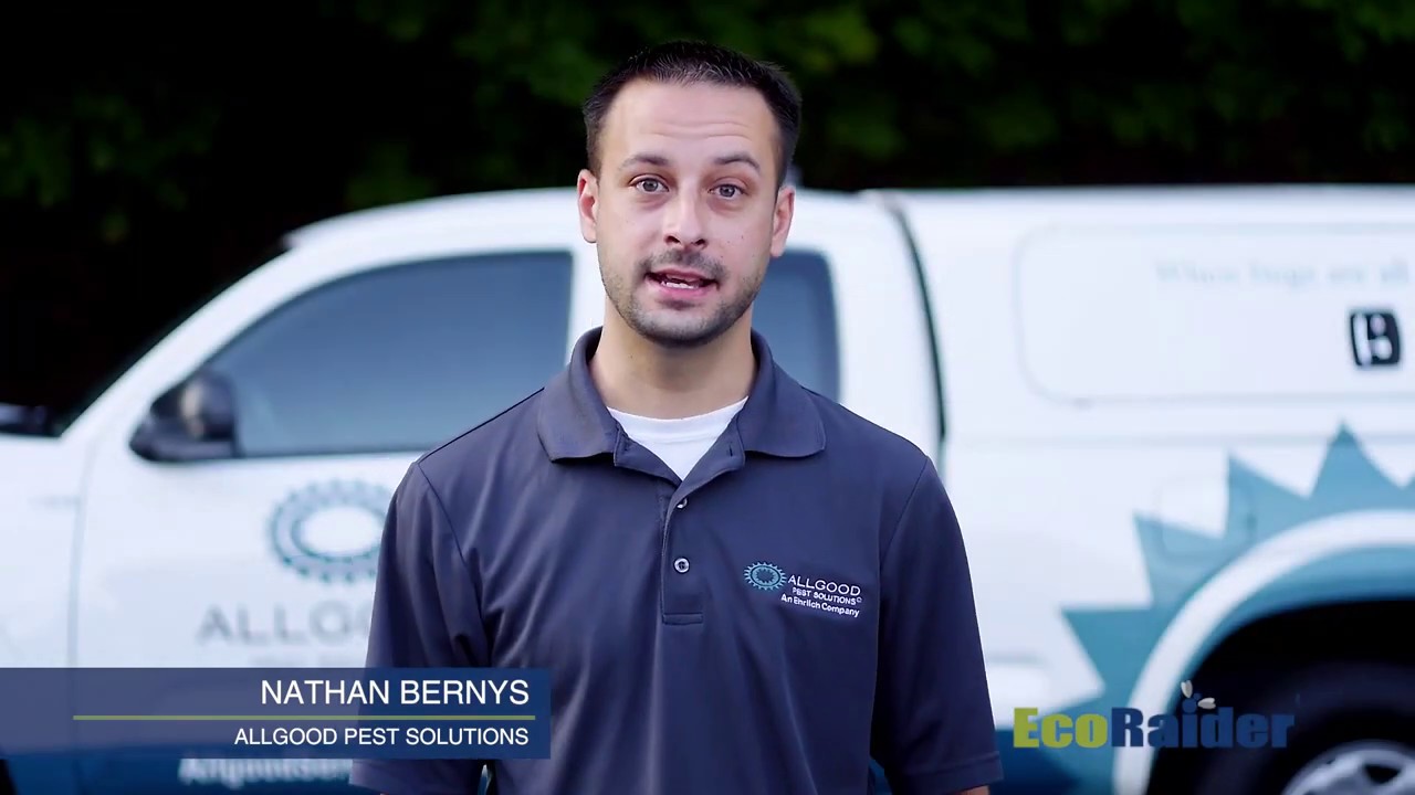 ER3 by EcoRaider ( Now as EcoVenger) Review from AllGood Pest Solutions ...