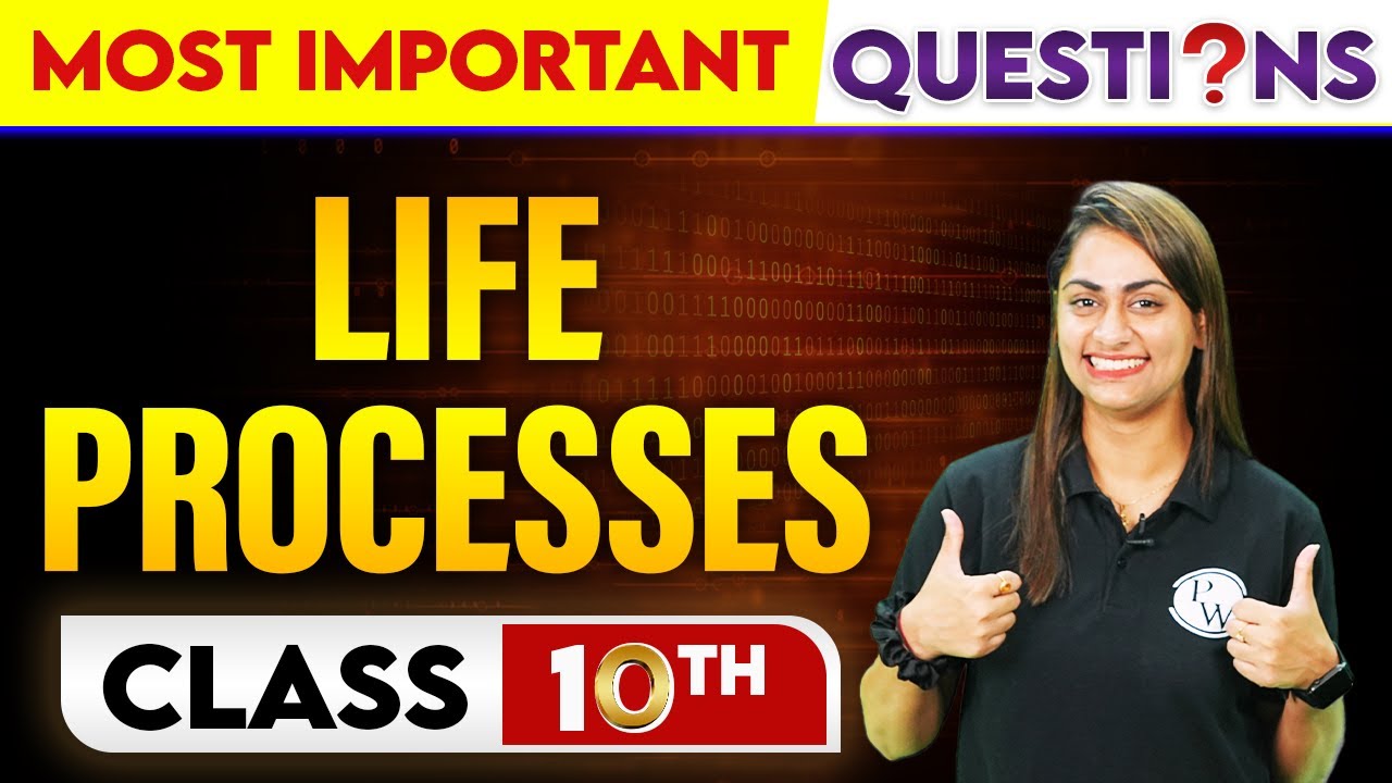 LIFE PROCESSES - Most Important Questions || Class - 10th - YouTube