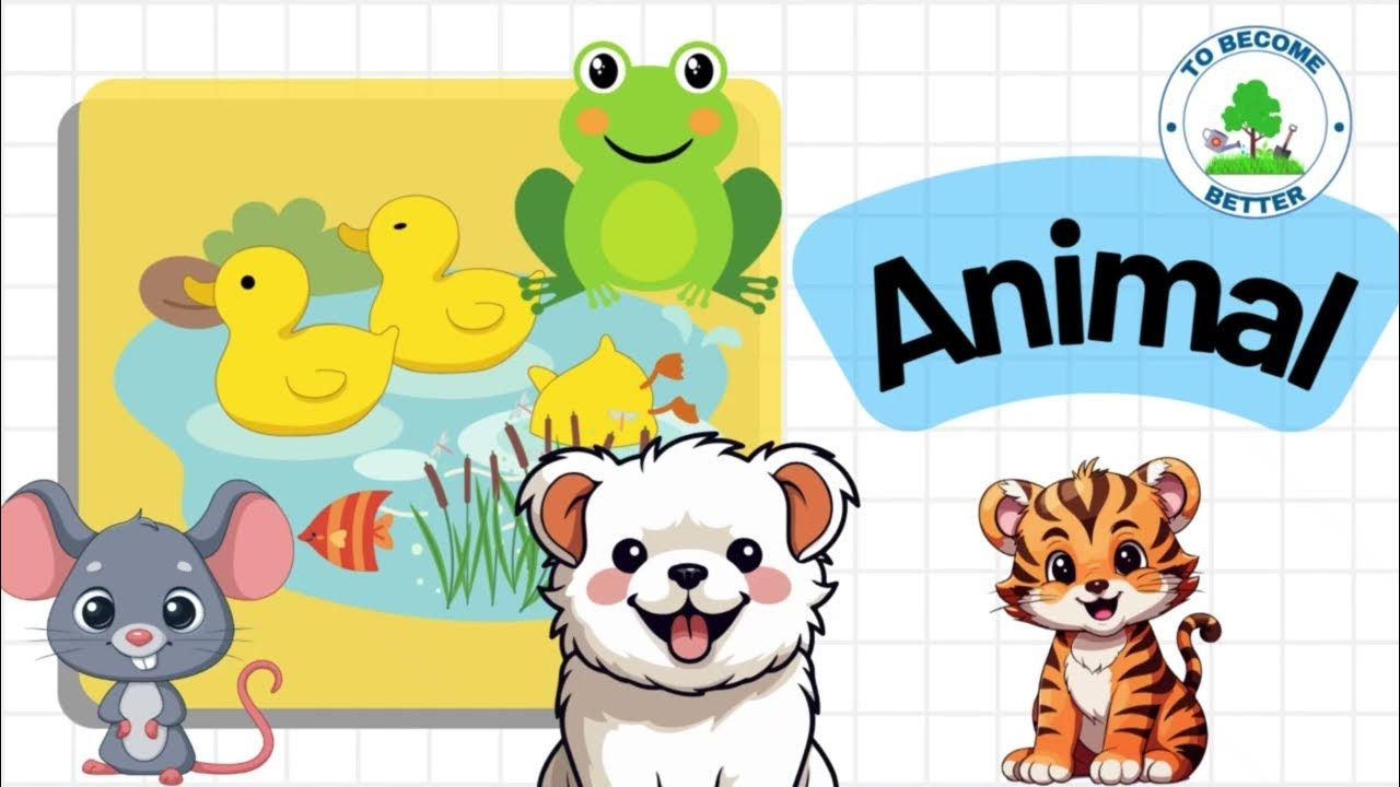 Animal Vocabulary -- English for Beginner | to Become Better - YouTube