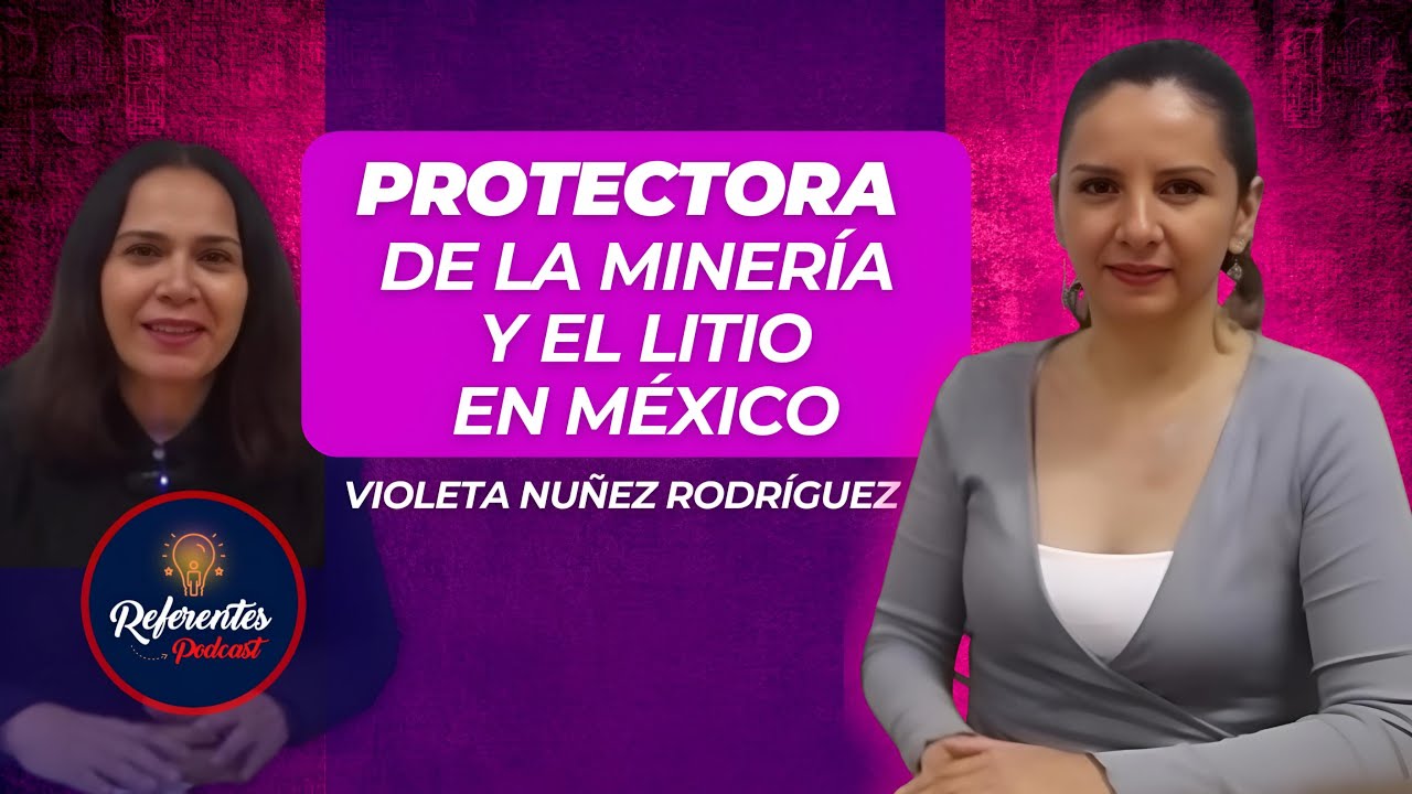 Violeta Núñez Rodríguez: De la Lucha Social a la Defensa del Litio en ...