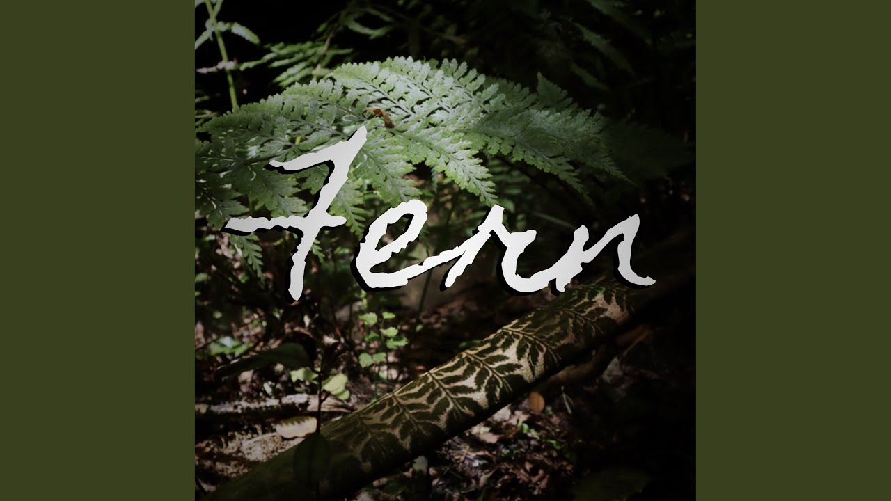 Fern - YouTube