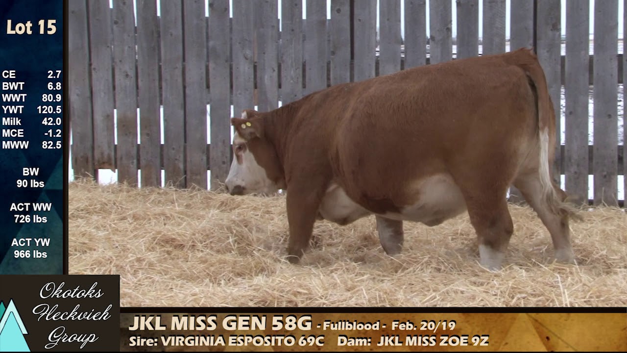 Lot 15 - JKL MISS GEN 58G - YouTube
