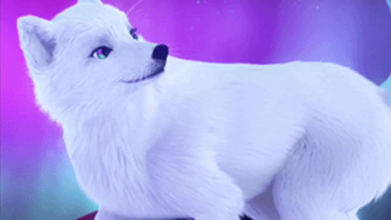 Elf’s Pets Nora - YouTube