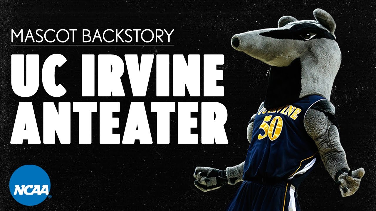 The unique origin behind UC Irvine's Peter the Anteater - YouTube