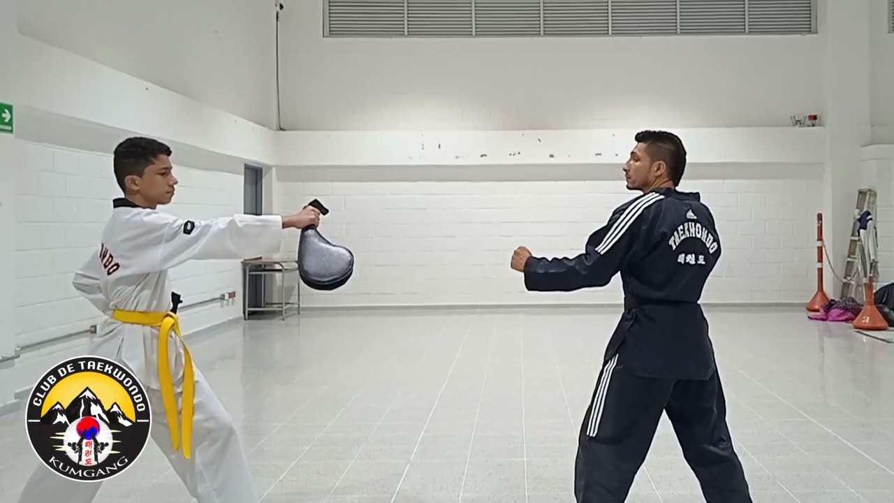 🔴 Técnicas Básicas.( Bandal, Dollyo, y Chico Chagui ) TAEKWONDO...Parte ...