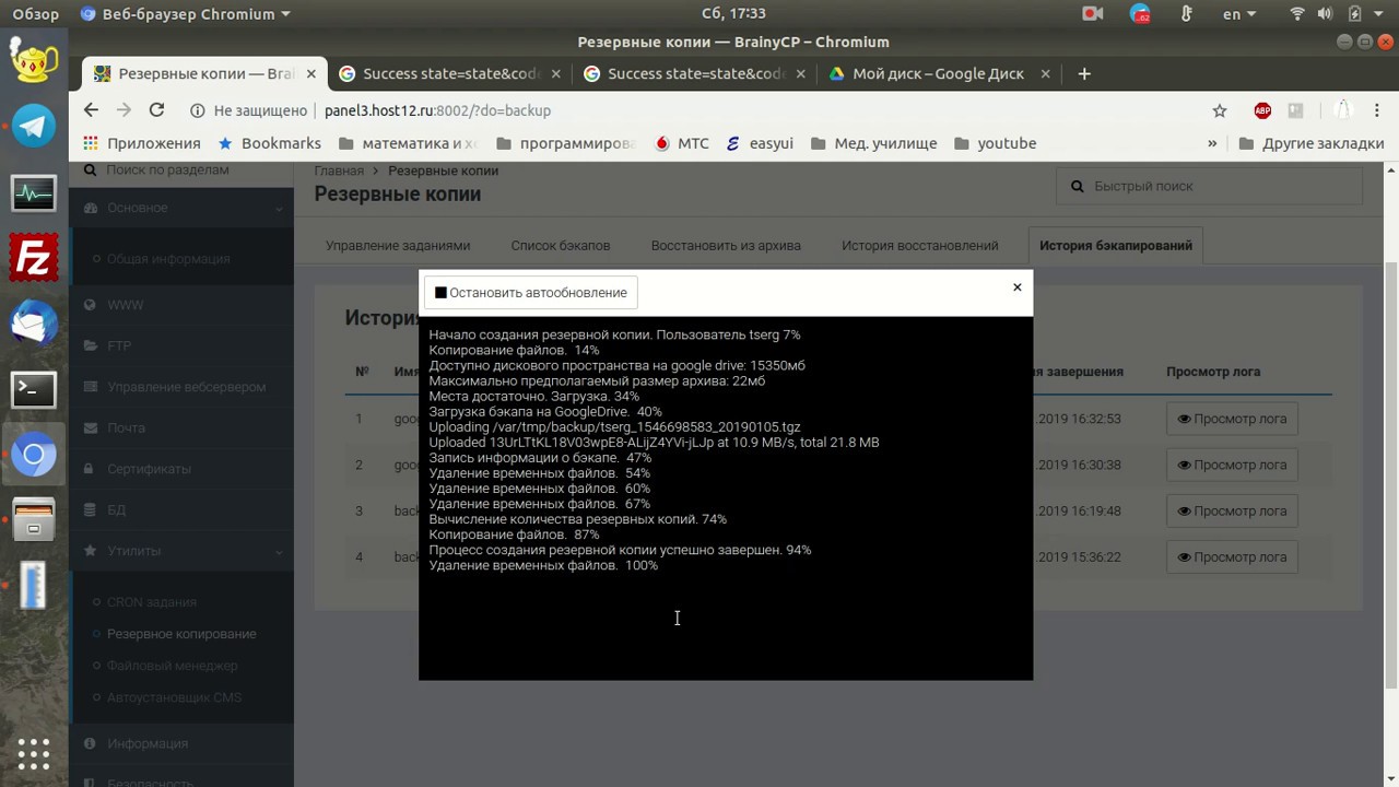 BrainyCP. Настройка автоматического резервного копирования: локально и ...