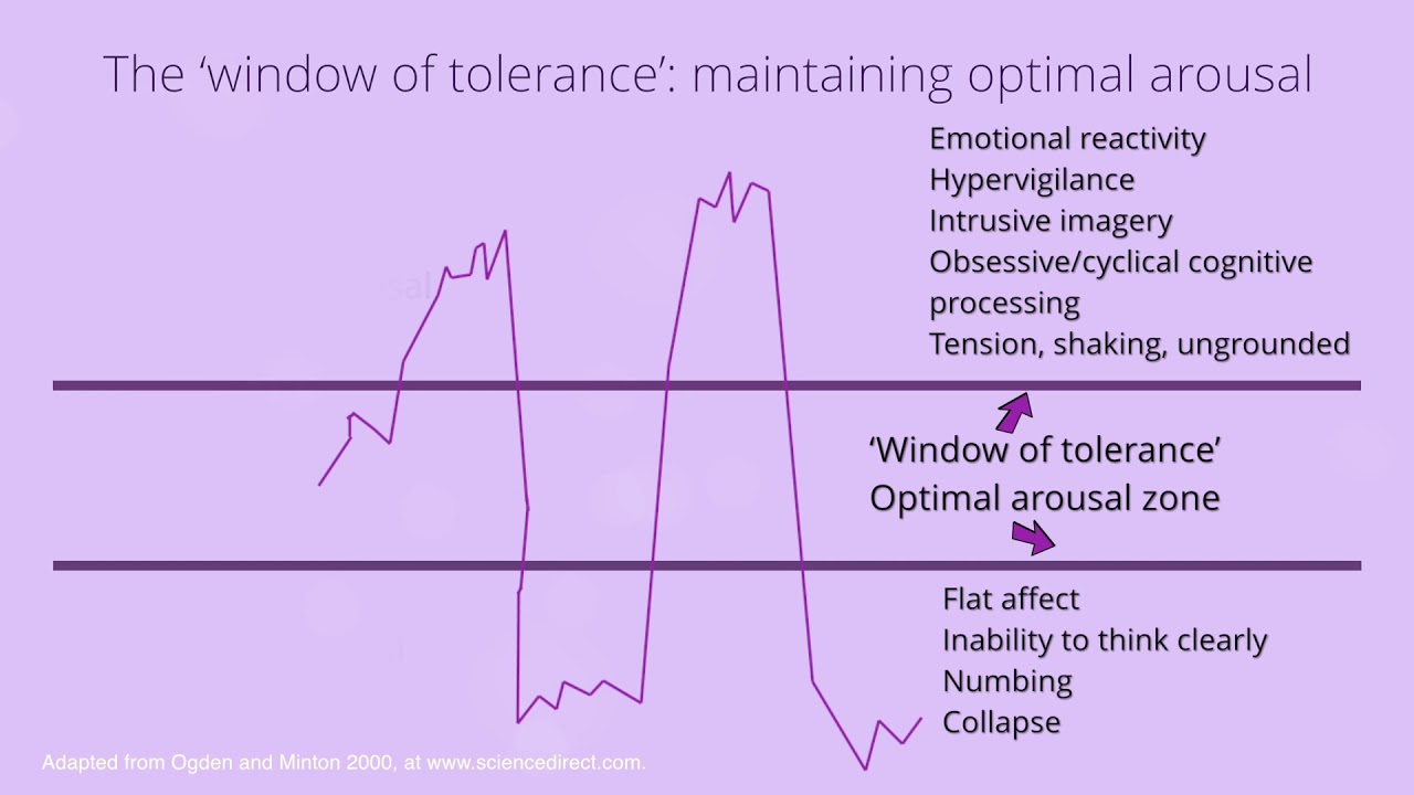 Window of tolerance - YouTube