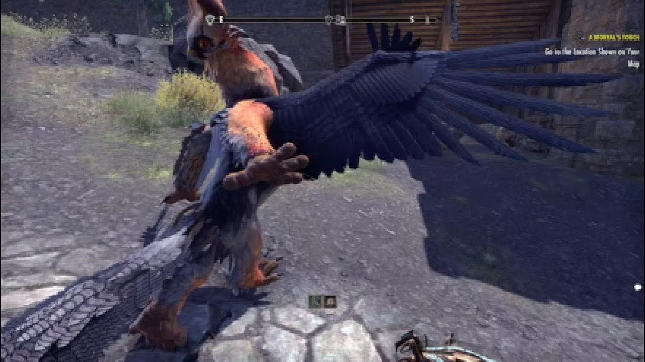 Eso gryphon transformation - YouTube
