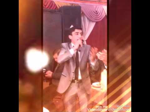 Temrez Aydin Oqlu Ve Perviz Qemli