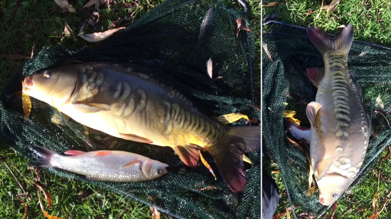 Fishing at Rowheath pavilion - YouTube