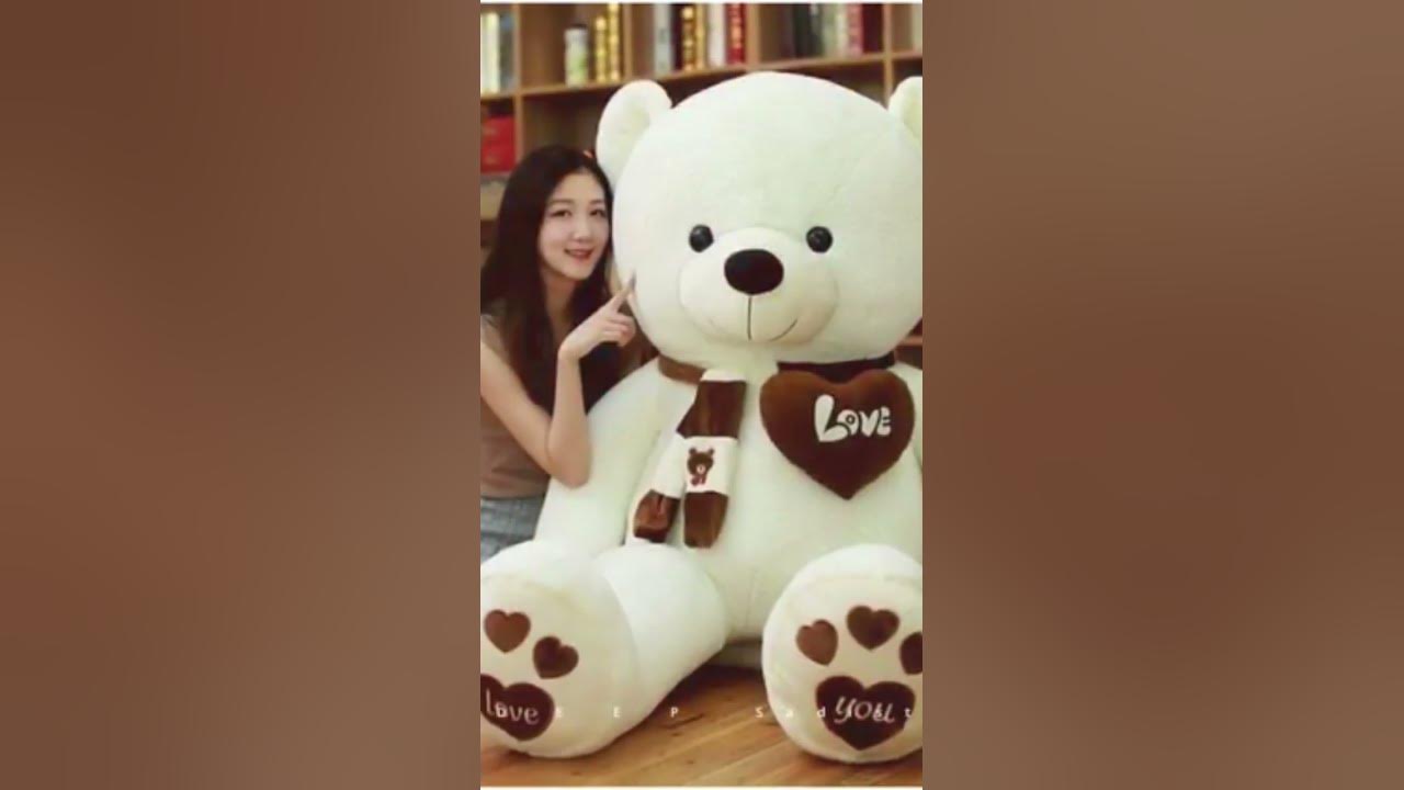 cute taddy 🐻 like this video all taddy lovers #youtubeshorts - YouTube