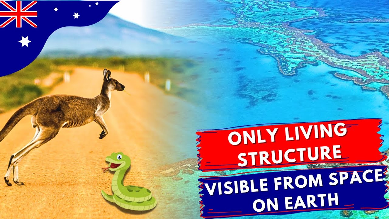 1400 Miles Long Natural Structure on Earth | Top 10 Australia ...