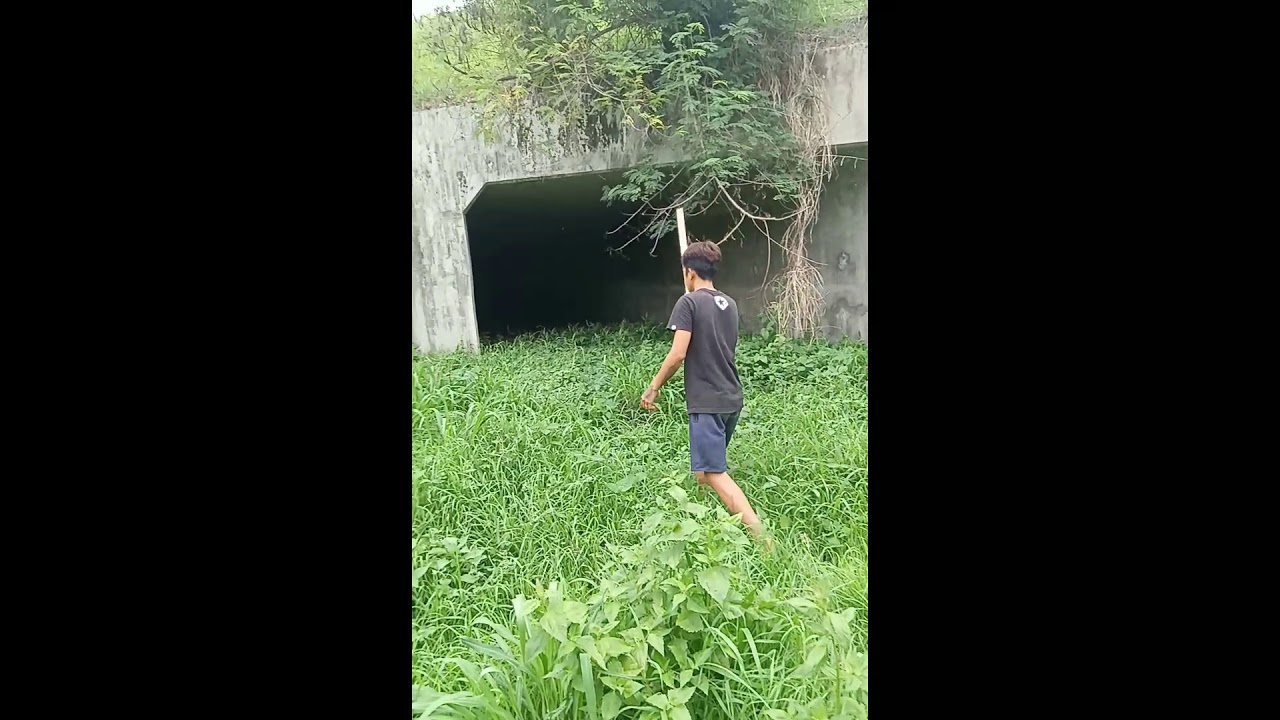 JuTay PutoToY .jpeg - YouTube