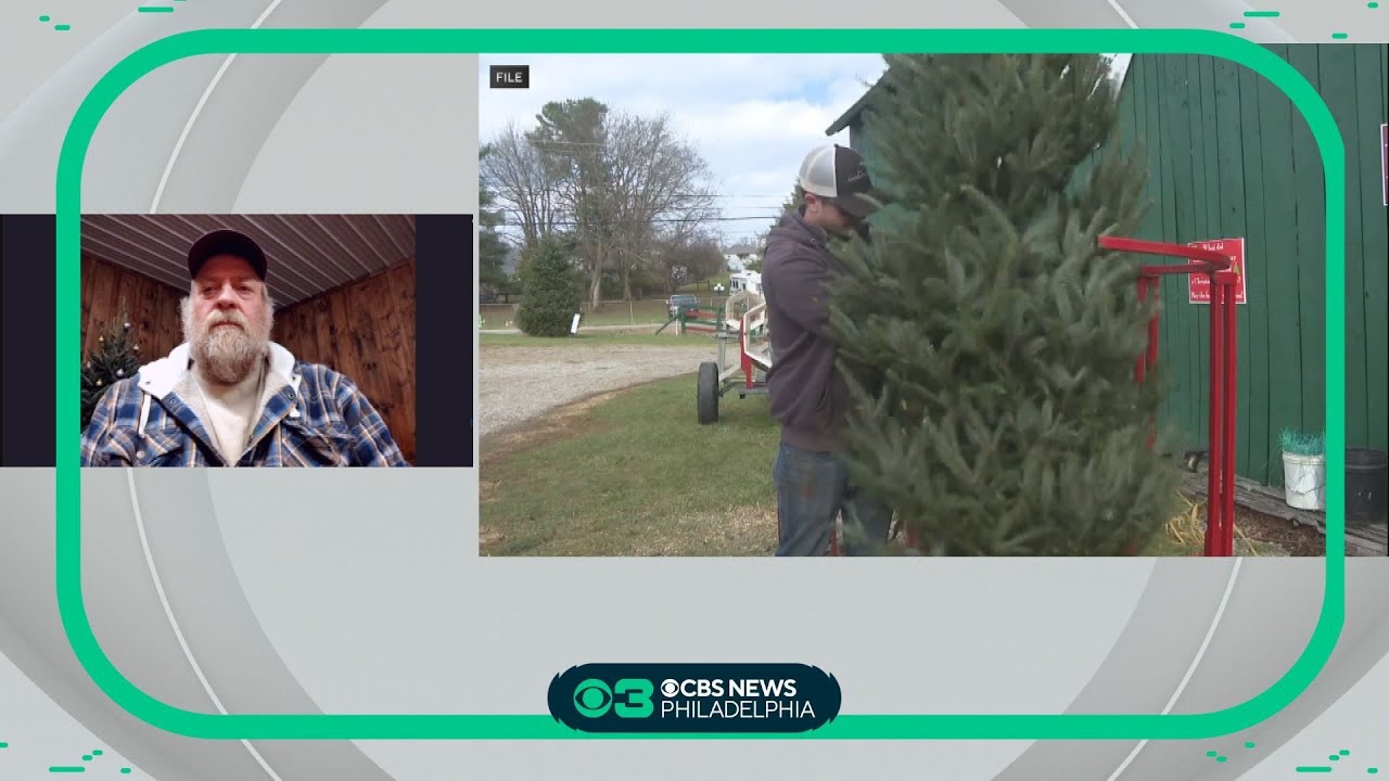 Christmas tree farmer: Why you shouldn't wait to get your tree - YouTube