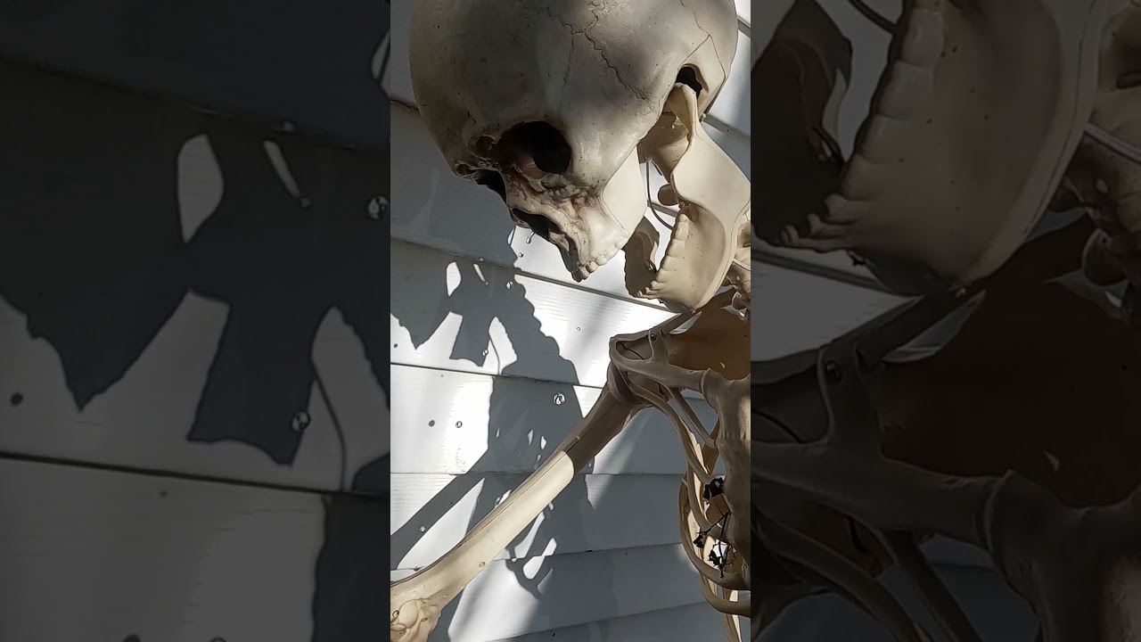 crying skeleton on tandem bike - YouTube