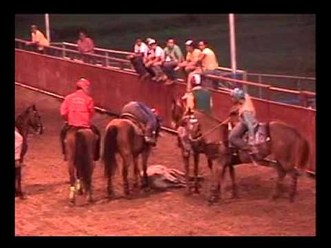 toros coleados - YouTube