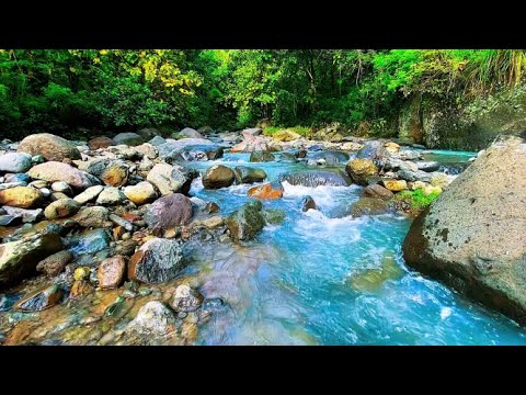 Relaxing Mountain Stream | Nature Sounds for Meditation & Sleep - YouTube