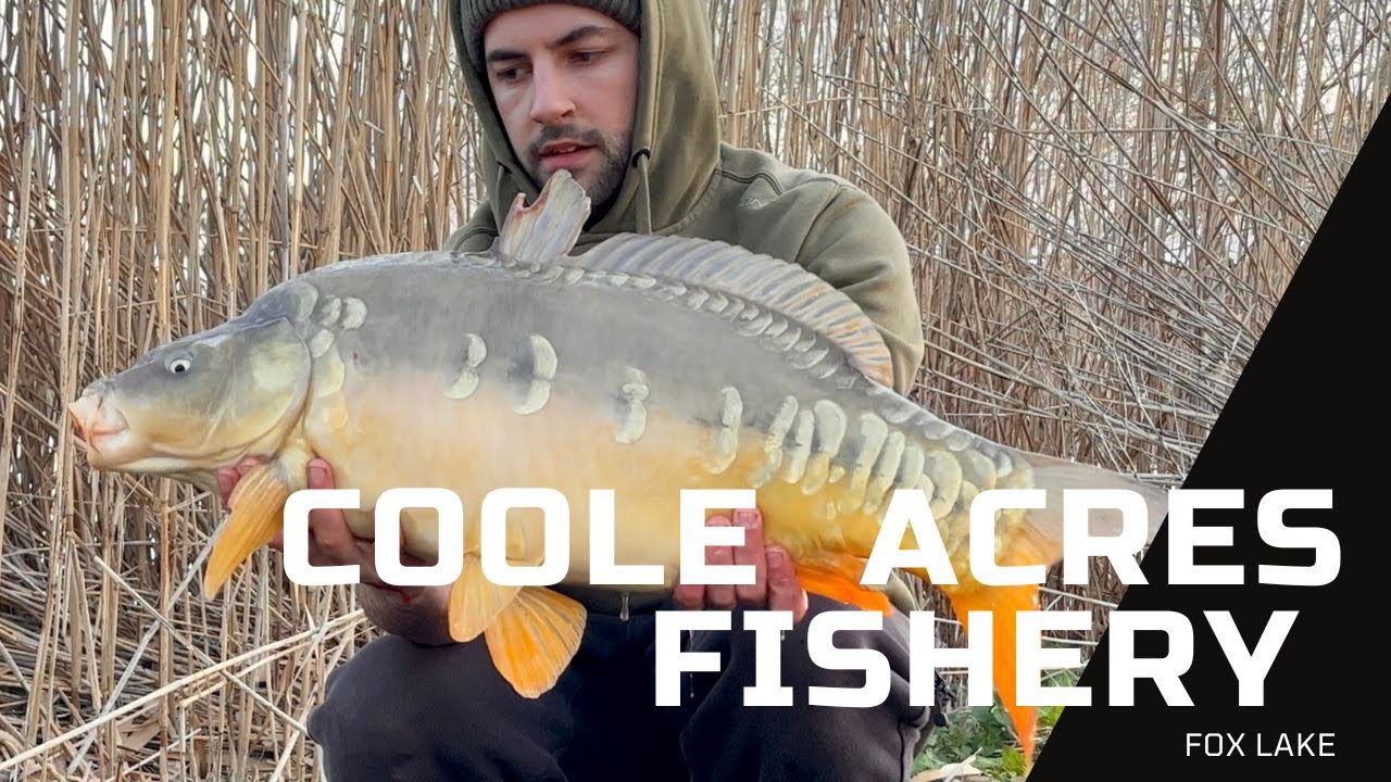 Coole Acres Fishery - Fox Lake - Carp Fishing UK - YouTube