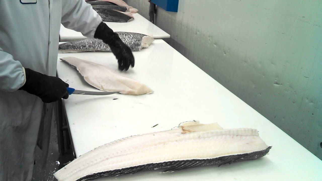 How to fillet a seabass - YouTube