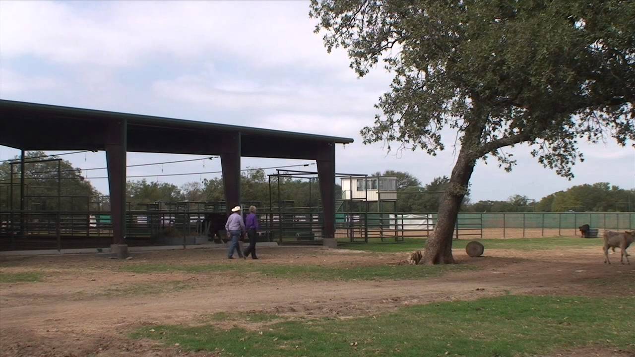 Tarleton Rodeo Hall of Fame, Bob Doty - YouTube