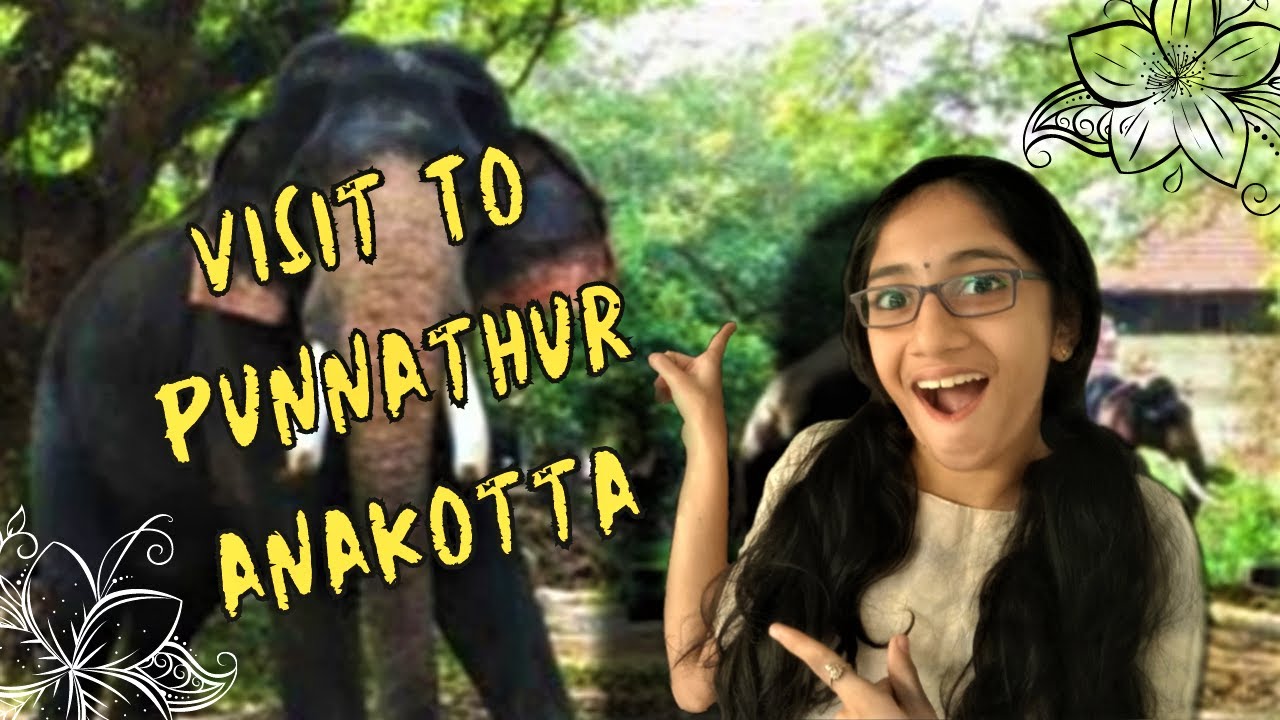 || Travel Vlog - 3 || Visit to Punnathur Anakotta ( Elephant Sanctuary ...