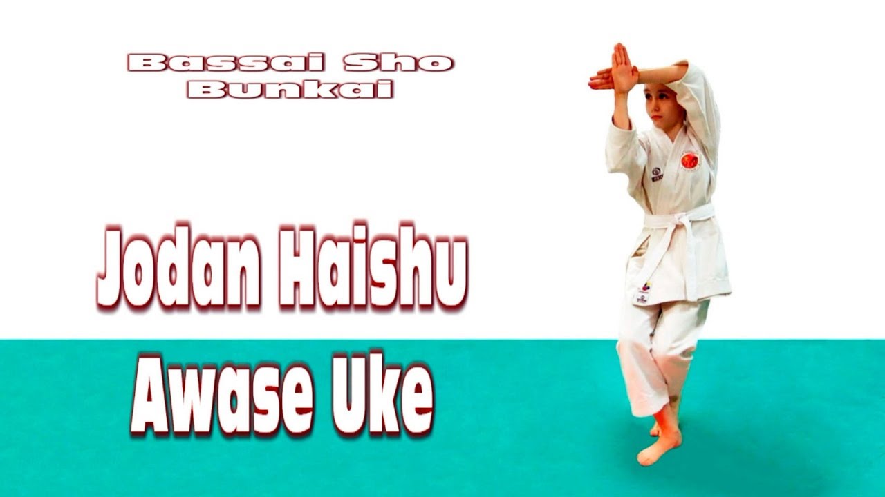 DrobyshevskyKarateSystem:Bassai Sho Combat Bunkai-2-Jodan Haishu Awase ...