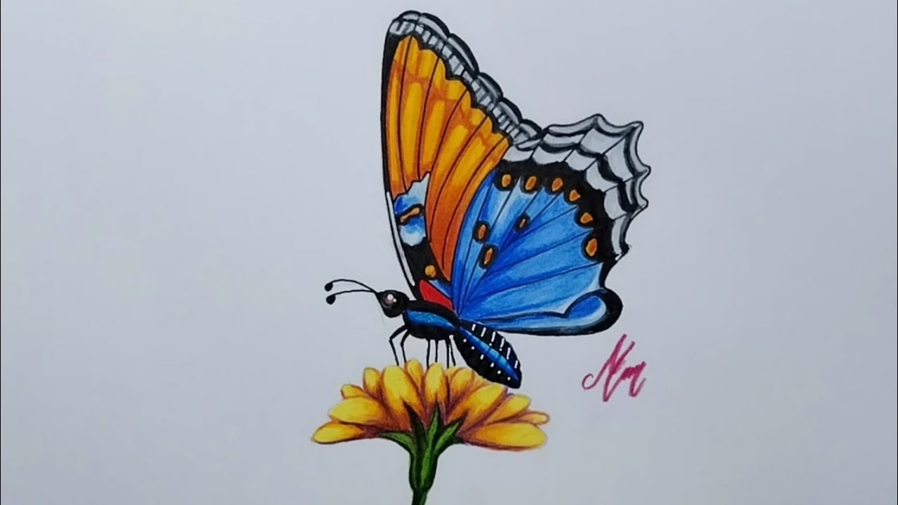 como dibujar una mariposa sobre una flor - YouTube