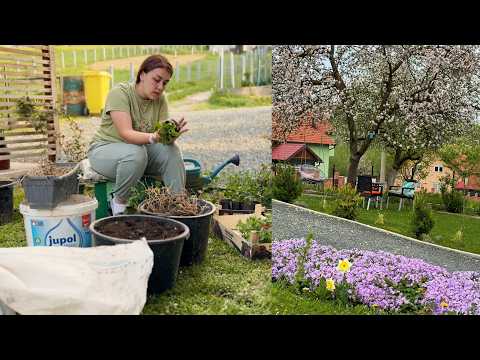 Nisan ayında bahçemizde bir yürüyüş 🌷 Çiçek dikiyoruz ve öğle yemeği için turta yapıyorum