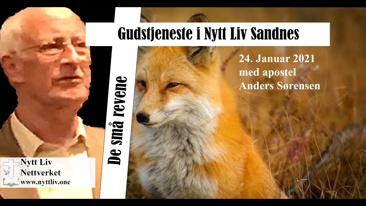 De små revene ; Gudstjeneste i Nytt Liv Sandnes den 24.01.2021 - YouTube