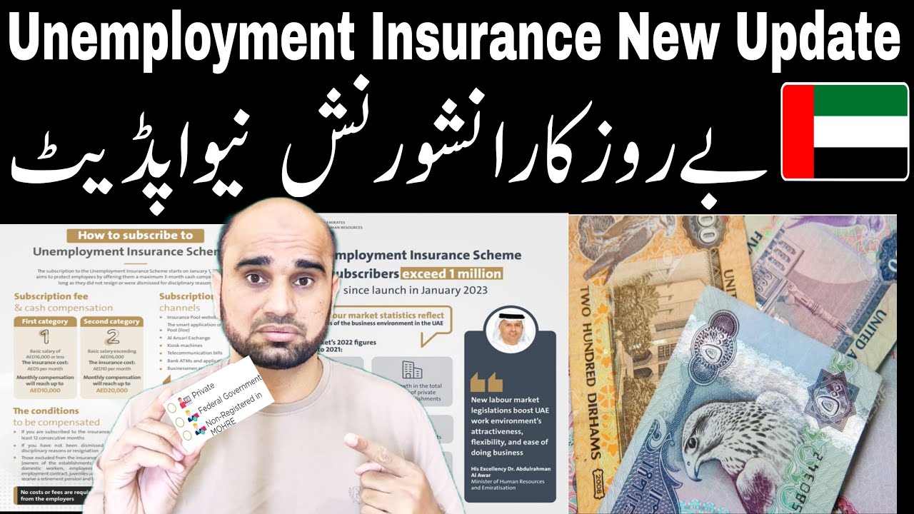 HOW to APPLY UAE Unemployment Insurance online,How Register uae ...