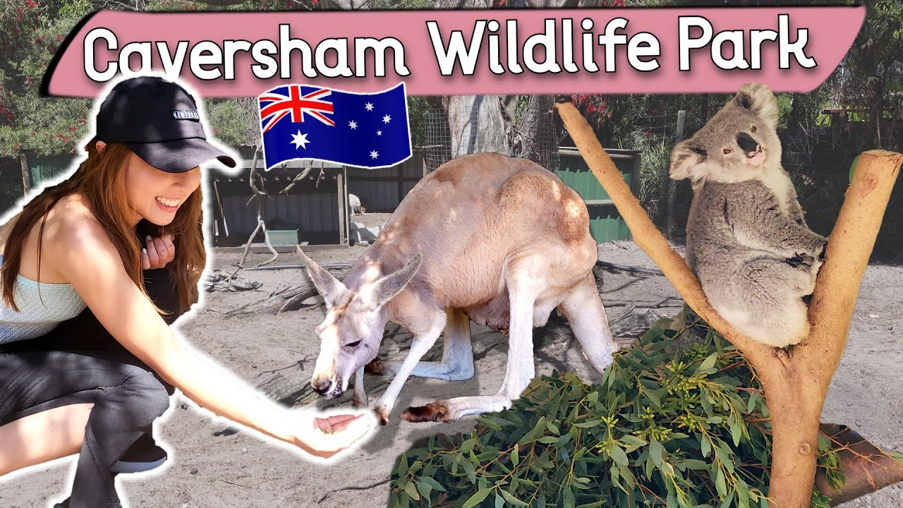 PERTH: Caversham Wildlife Park; EXOTIC ANIMALS (Pt. 1) | Perth/WA ...