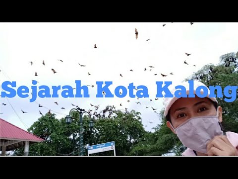 Ribuan Kelelawar Besar Bersarang Di Taman Kota Soppeng / Story of ...
