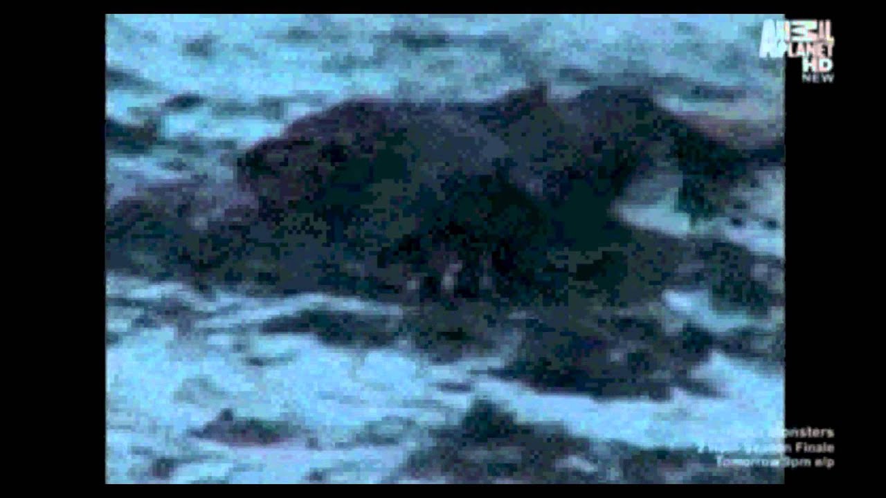 Proof That Mermaids Exist [HD] - YouTube