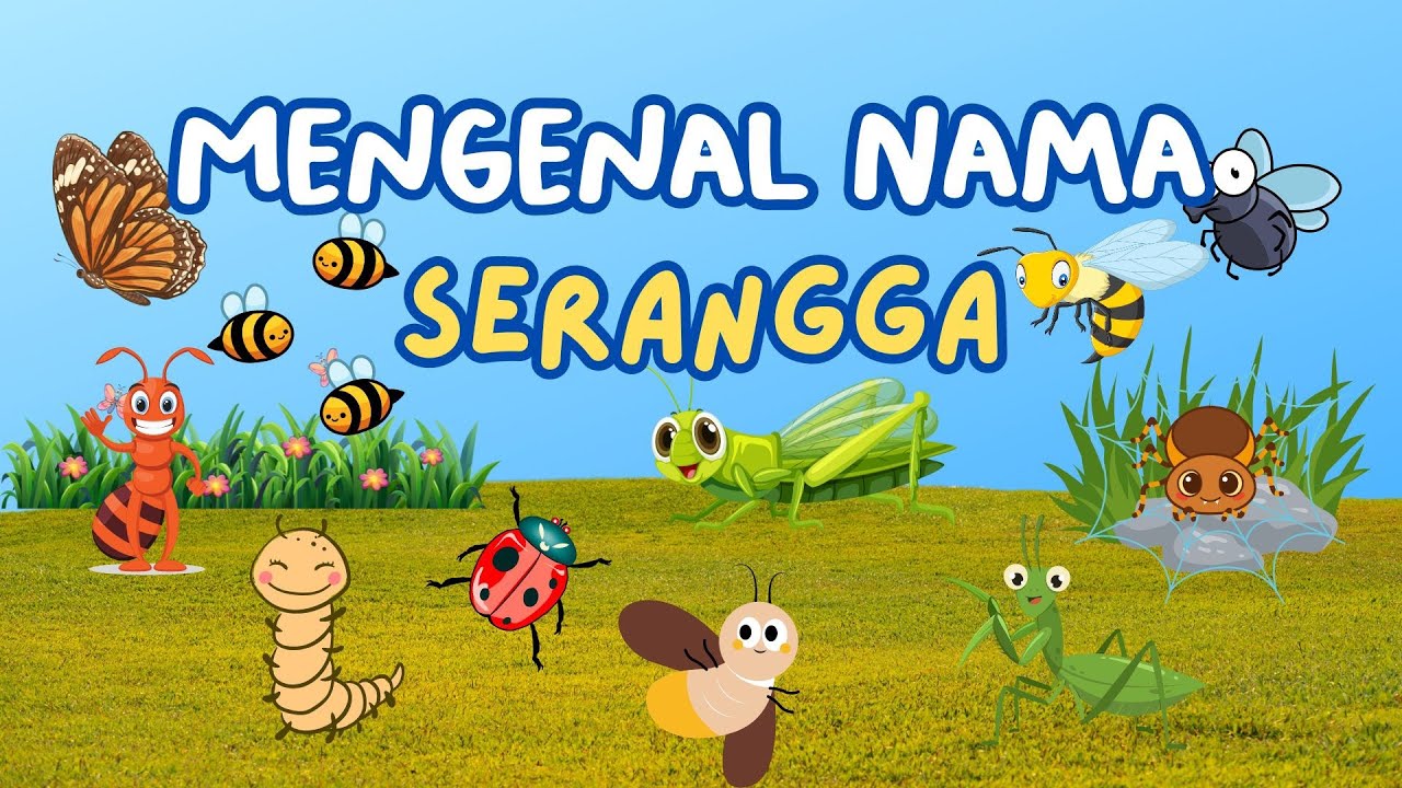 MENGENAL NAMA SERANGGA | KNOW THE NAMES OF INSECTS | BAHASA INDONESIA ...