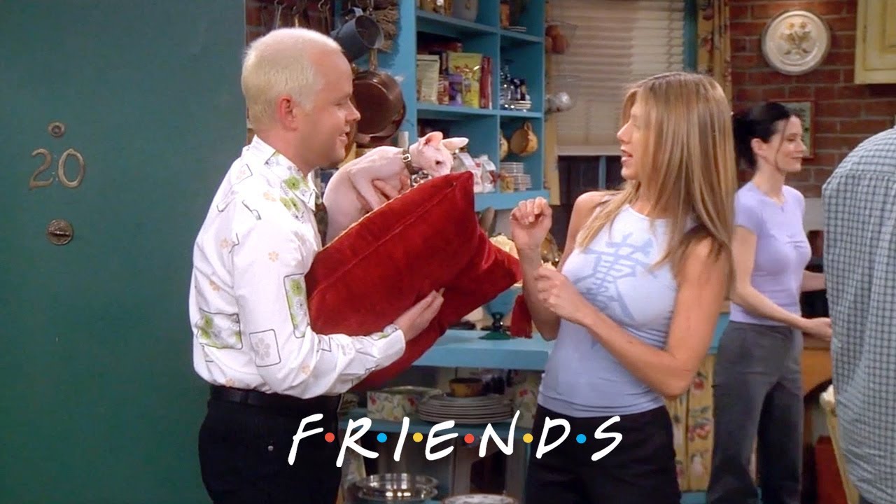 Gunther Buys Rachel's Cat | Friends - YouTube